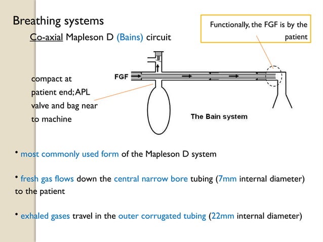 3.different types of breathing system pptx | PPT