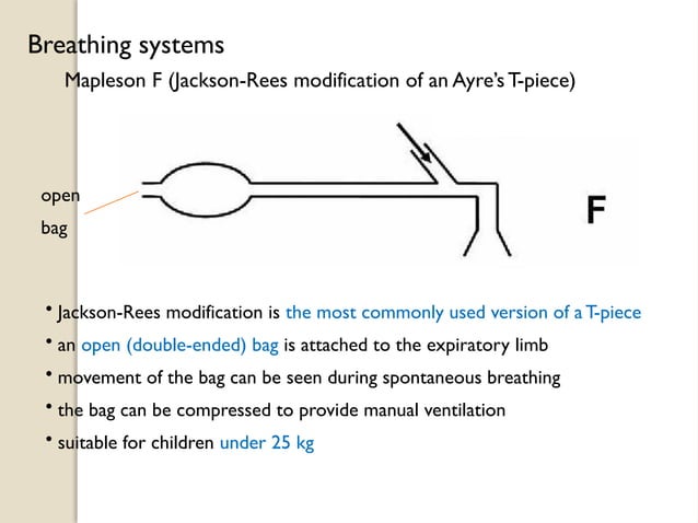 3.different types of breathing system pptx | PPT