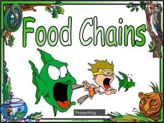 3.pptx food chains presentation bachelors | PPTX
