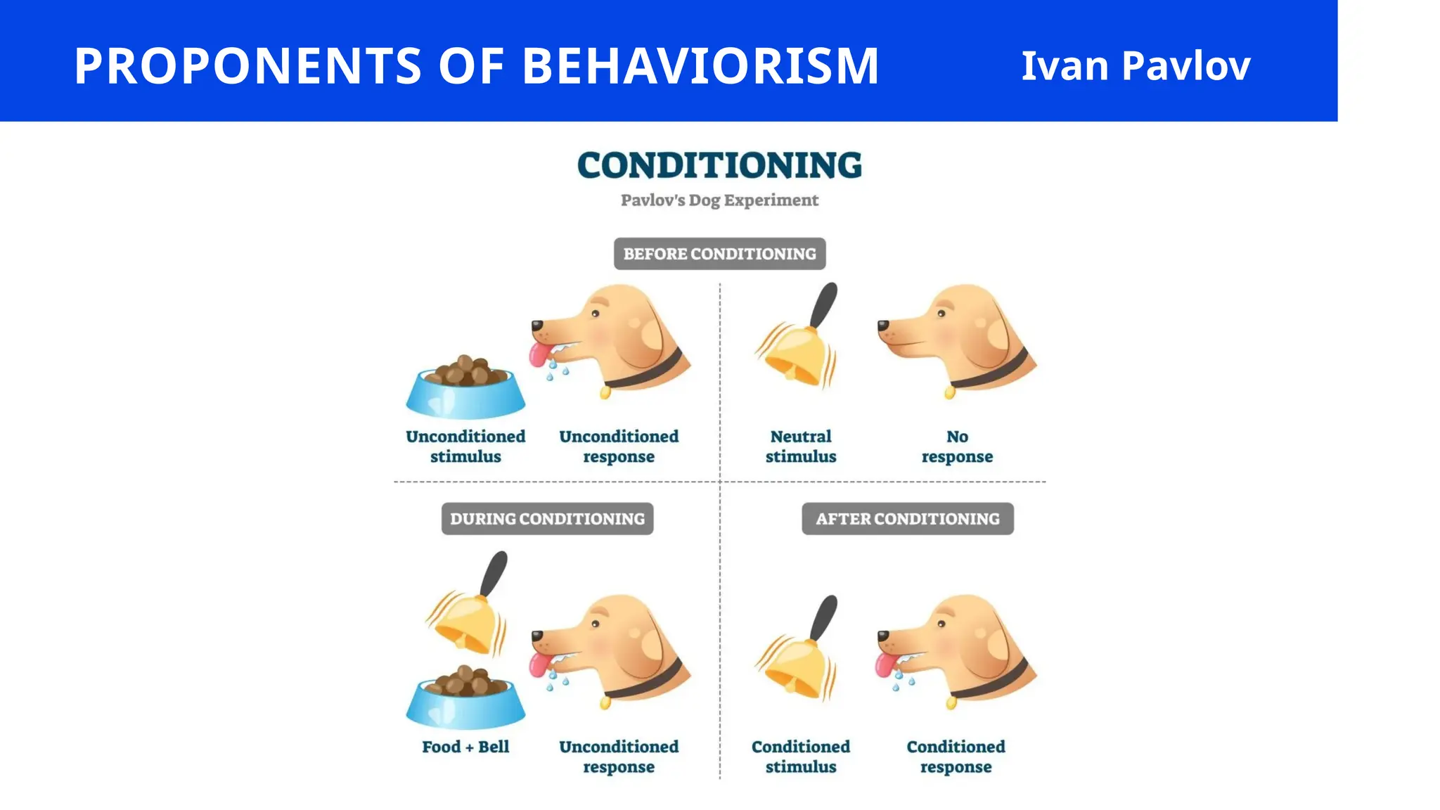 3.1 Behaviorism power point presentation | PPT