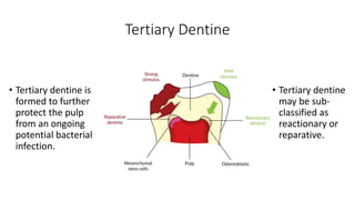 3. etiology/ DENTAL PULP, PULP CHARACTHERISTICS | PPT