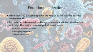 3. etiology/ DENTAL PULP, PULP CHARACTHERISTICS | PPT