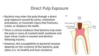 3. etiology/ DENTAL PULP, PULP CHARACTHERISTICS | PPT