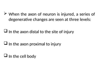 3. Degeneration a Regeneration of Nerve Fibres.pptx