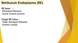 materi jaringan tumbuhan membahas mengenai jenis-jenis jaringan pada ...