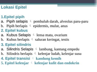 materi sel kelas 11 sma membahas mengenai apa itu sel, struktur sel dan ...