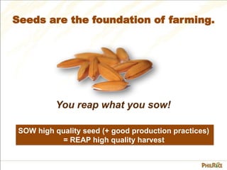 3.2 Seed and Variety Selection_Key Check 1.ppsx