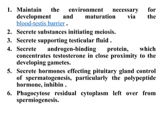 3. Embryology : Gametogenesis Gametogenesis .ppt