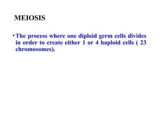 3. Embryology : Gametogenesis Gametogenesis .ppt