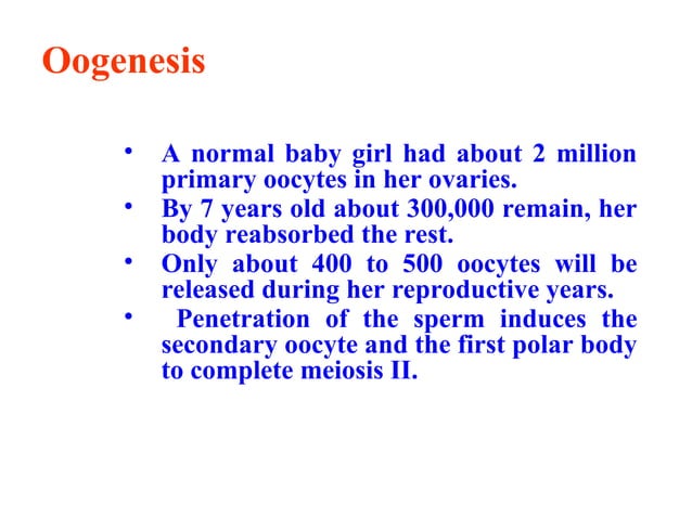 3. Embryology : Gametogenesis Gametogenesis .ppt