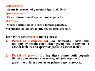3. Embryology : Gametogenesis Gametogenesis .ppt