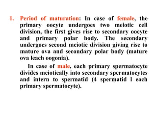3. Embryology : Gametogenesis Gametogenesis .ppt