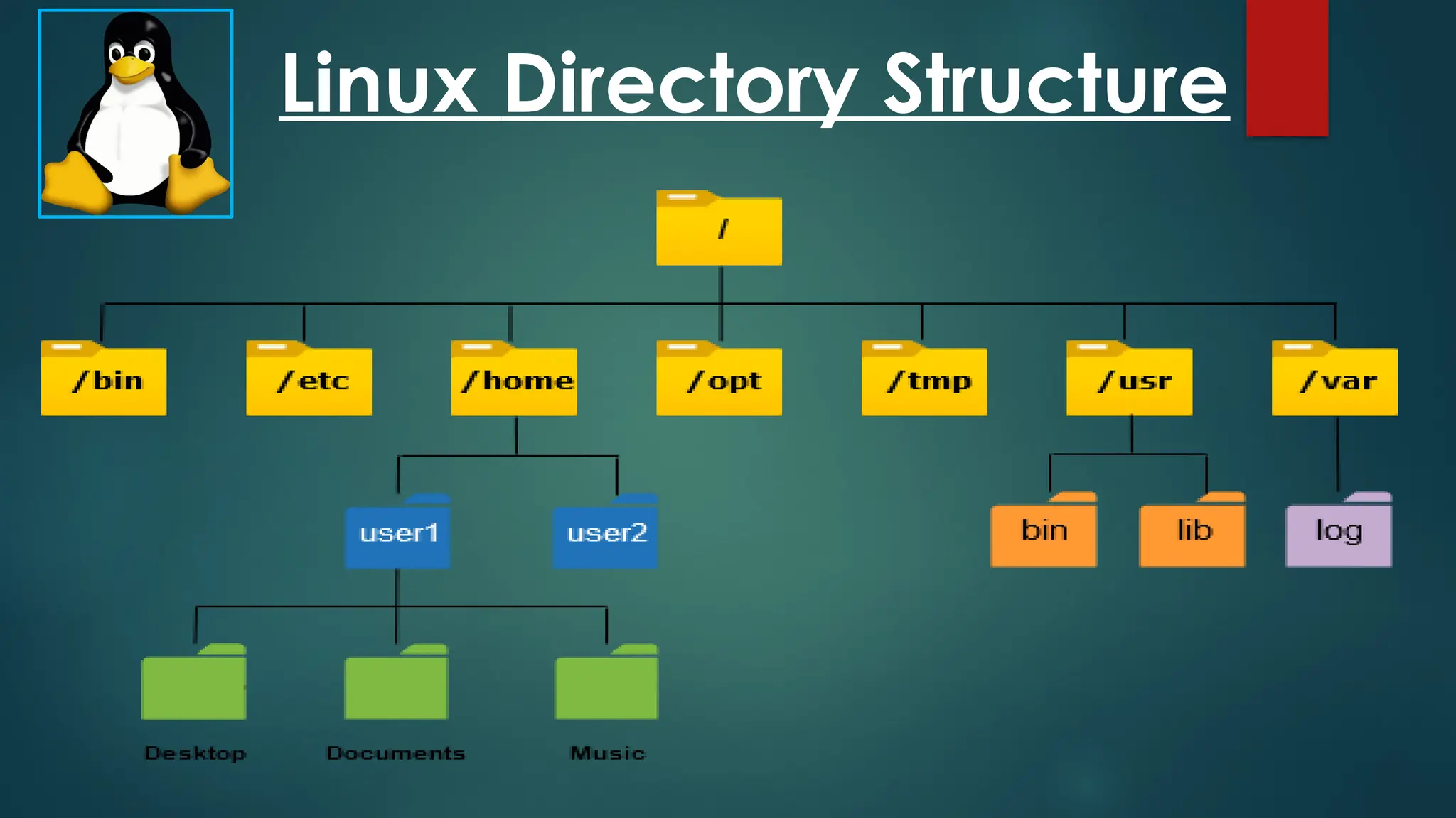 3. LINUXyhfgfgfgfdgfdfdgfdfggdgrdrr.pptx