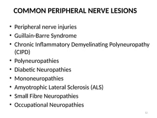3. Peripheral nerve lesions.pptx plexus injuries | PPT