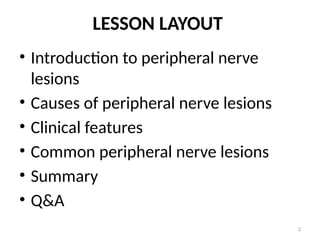 3. Peripheral nerve lesions.pptx plexus injuries | PPT