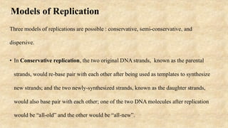 DNA REPLICATION, DNA STRUCTURE and DNA re | PDF