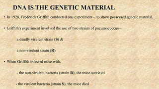 DNA REPLICATION, DNA STRUCTURE and DNA re | PPT