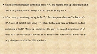 DNA REPLICATION, DNA STRUCTURE and DNA re | PDF