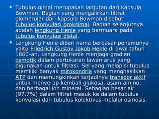 3.-anatomi fisiologi -sistem perkemihan.ppt