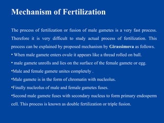 Fertilization in angiosperms powerpoint presentation | PPTX