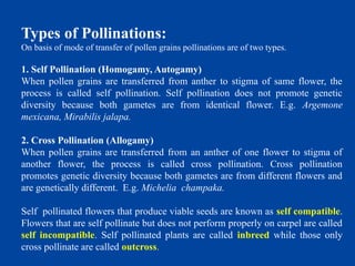 Fertilization in angiosperms powerpoint presentation | PPT