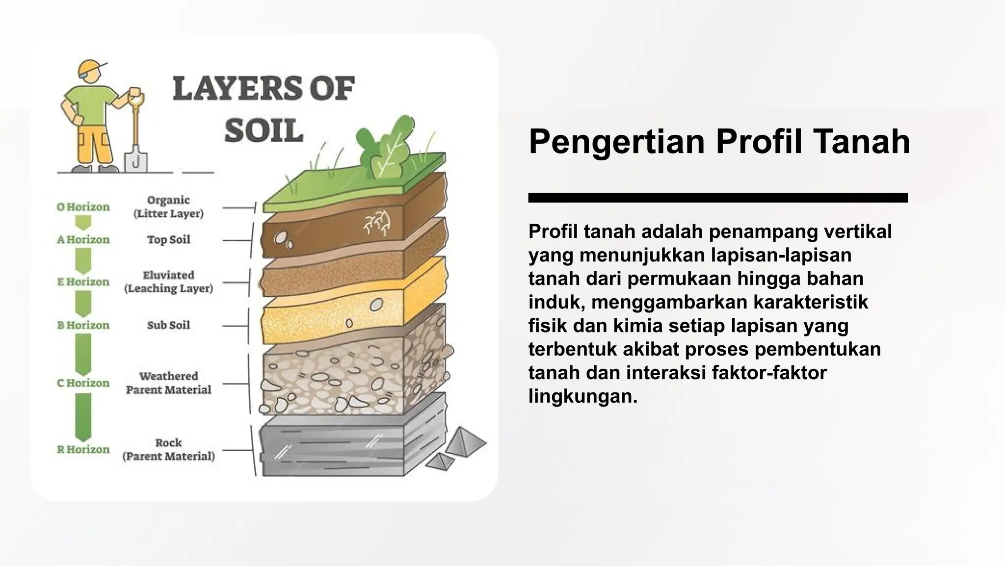 3. Faktor Pembentuk Tanah dan Profil Tanah.pptx