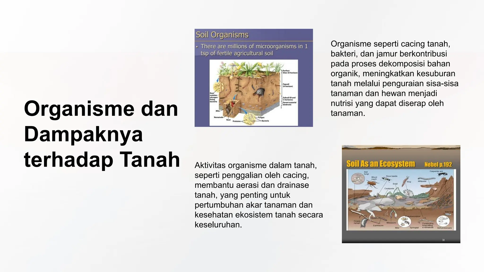3. Faktor Pembentuk Tanah dan Profil Tanah.pptx