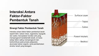 3. Faktor Pembentuk Tanah dan Profil Tanah.pptx