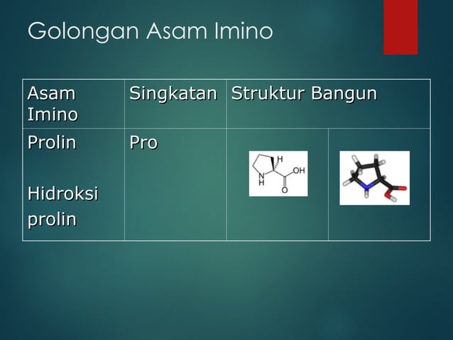 PROTEIN, MACAM-MACAM PROTEIN, STRUKTUR PROTEIN | PPT
