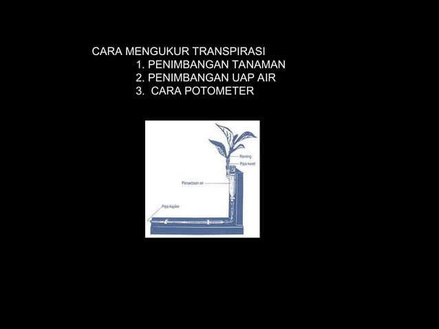 3. TRANSPIRASI dan mekanisme stomata.ppt