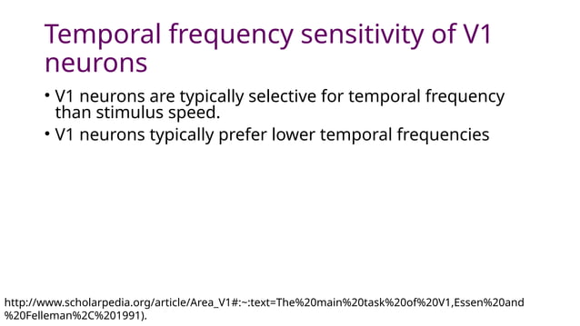 3. Organisation and Functions of Visual Cortex.pptx