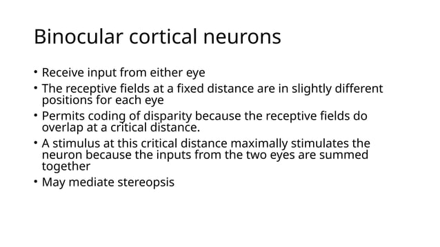 3. Organisation and Functions of Visual Cortex.pptx