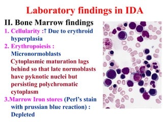 3.-Anemia-IDA.ppt iron deficiency essentials | PPT