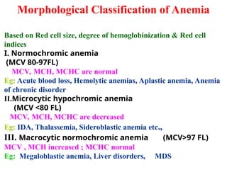 3.-Anemia-IDA.ppt iron deficiency essentials | PPT