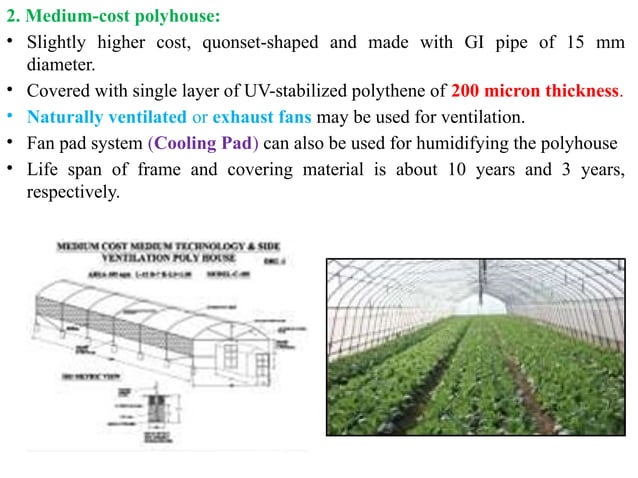 3. Off-season and protected cultivation of vegetable crops.pptx