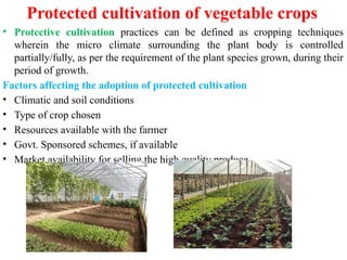 3. Off-season and protected cultivation of vegetable crops.pptx
