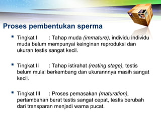 3. Karakteristik Sperma dan pembentukan sperma 4Okt 2023.ppt