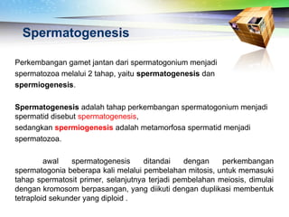 3. Karakteristik Sperma dan pembentukan sperma 4Okt 2023.ppt