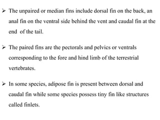 3. Anatomy of fish - Morphology features.pdf
