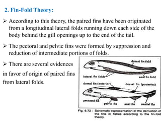 3. Anatomy of fish - Morphology features.pdf