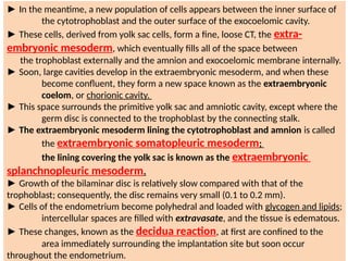 3. WEEK -2 of fetal development. pptx | PPT