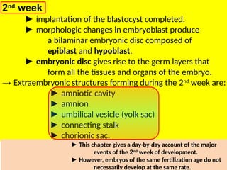 3. WEEK -2 of fetal development. pptx | PPT