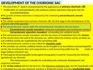 3. WEEK -2 of fetal development. pptx | PPT