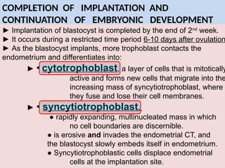 3. WEEK -2 of fetal development. pptx | PPTX