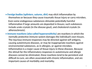 3.ii CAUSES OF INFLAMMATION (1).pptx pathology | PPTX