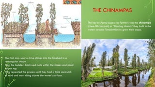 3. Food.pptx all about fooos and gooodneeesss things | PPTX