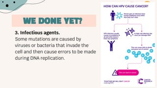 3.6 IB Mutations & Cancer notes 2025.pdf