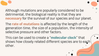 3.6 IB Mutations & Cancer notes 2025.pdf
