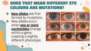 3.6 IB Mutations & Cancer notes 2025.pdf