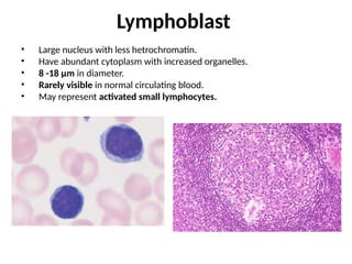 3. Blood powers point for HO students... | PPTX